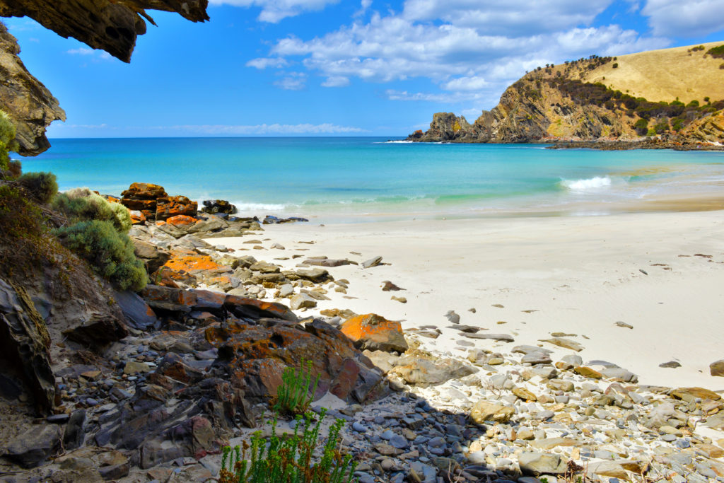 The world comes to KI - Kangaroo Island official website | Authentic ...